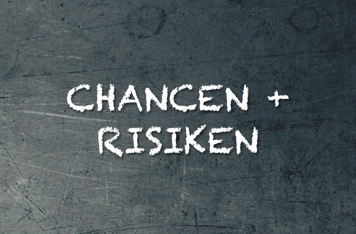 Die Chancen und Risiken des Franchise-System-Aufbaus